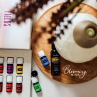 Ontdek alles over essentiële oliën - Blooming Blends